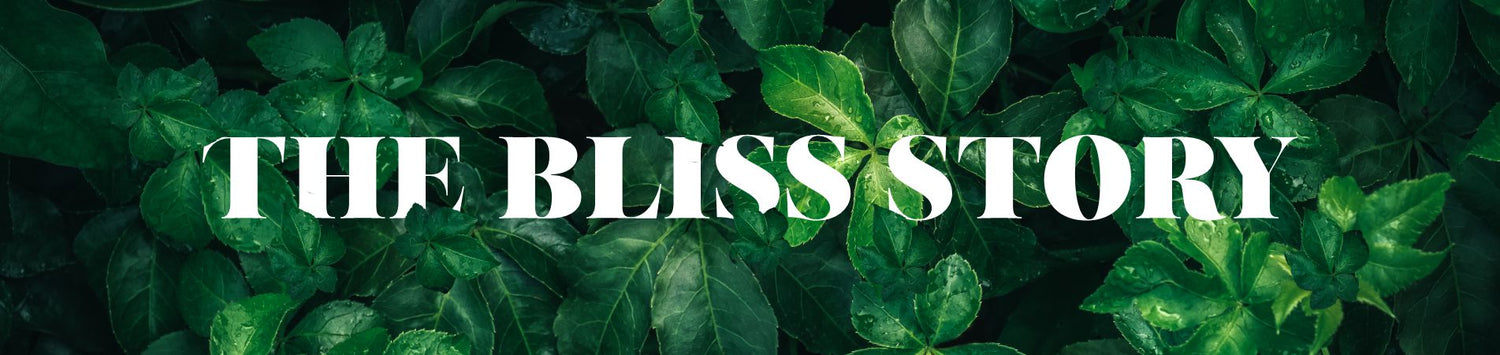 About – Bliss Welness